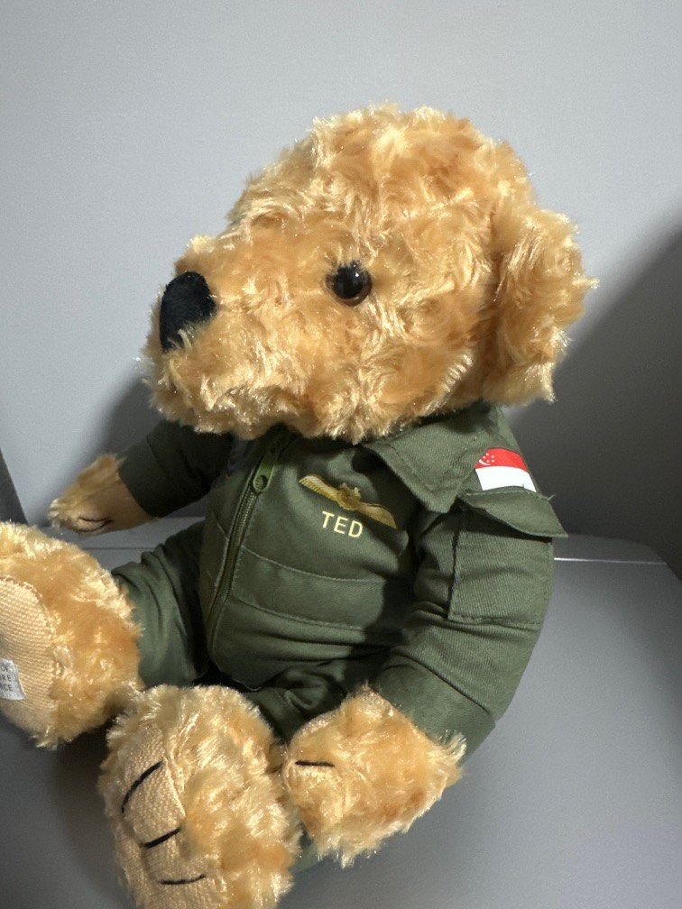 RSAF Ted Bear, Hobbies & Toys, Toys & Games on Carousell