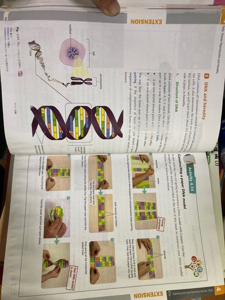 Science for the new century 1B, 興趣及遊戲, 書本 & 文具, 教科書 - Carousell