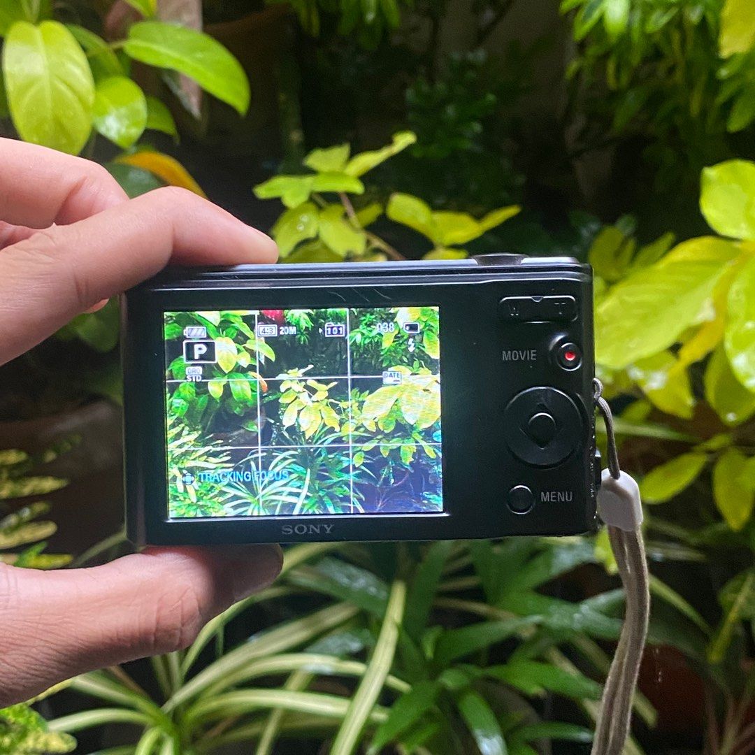 Sony 20MP DSC W800 Digicam, Photography, Cameras on Carousell