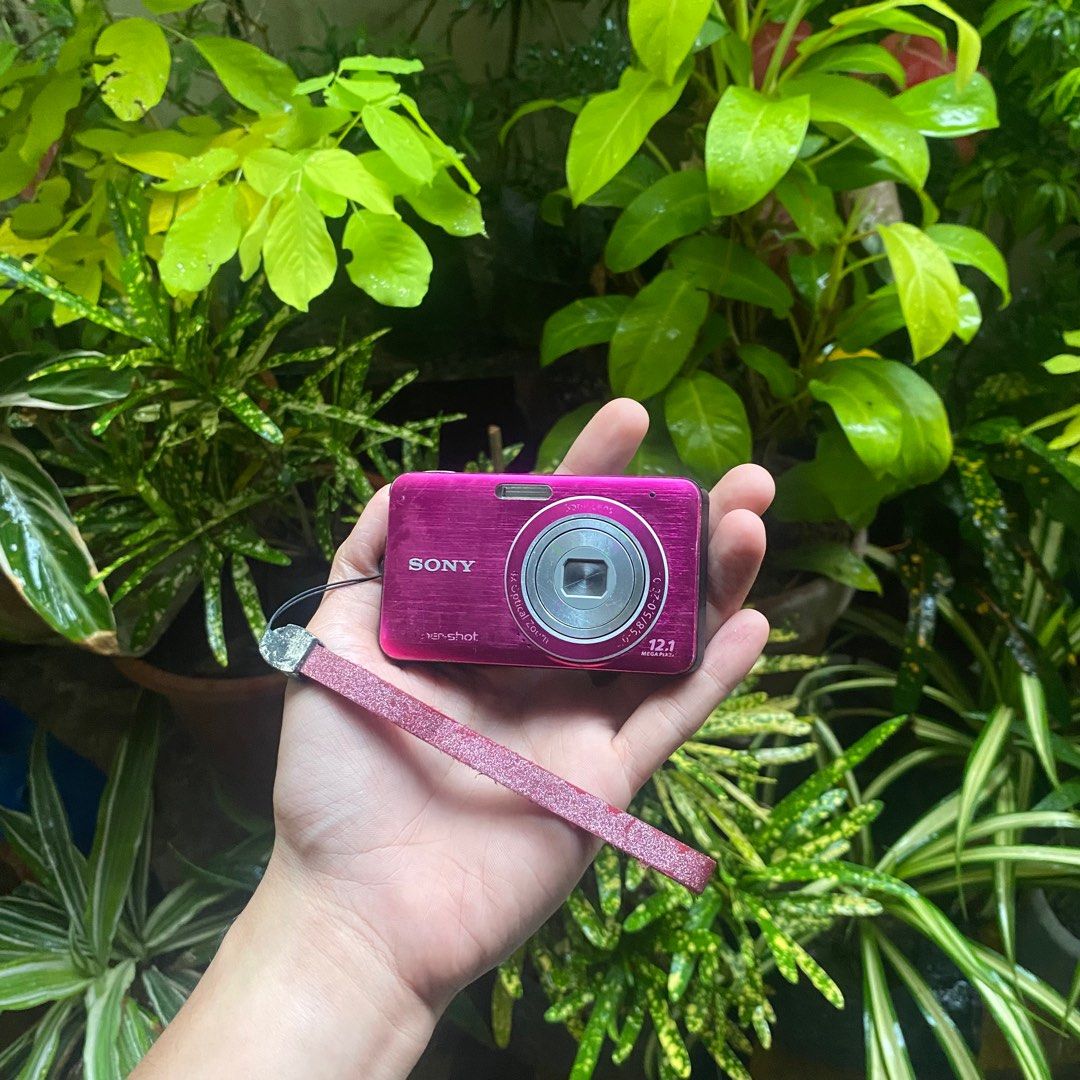 Sony DSC W310 Pink Digicam, Photography, Cameras on Carousell