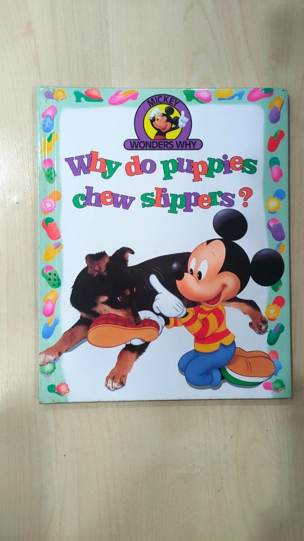 Why Do Puppies Chew Slippers ? (Mickey Wonders Why), Hobbies & Toys ...