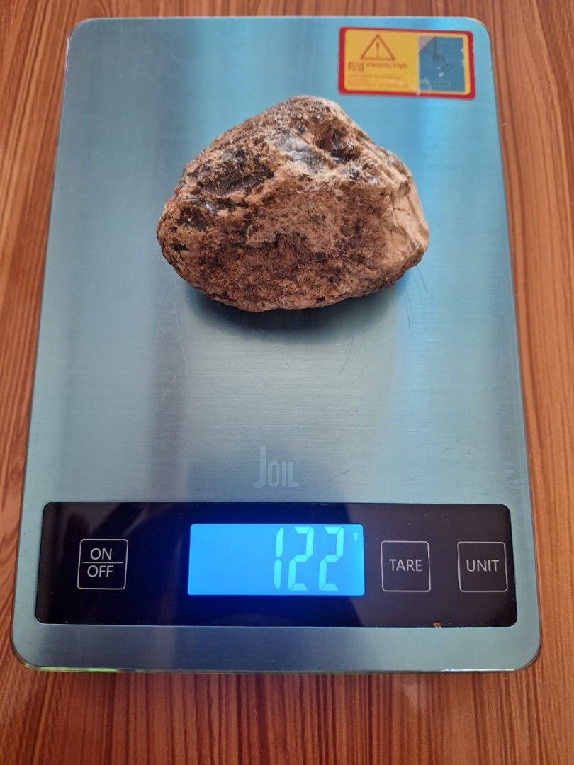 Ambergis / Muntahan ikan paus, Antik, Pajangan di Carousell