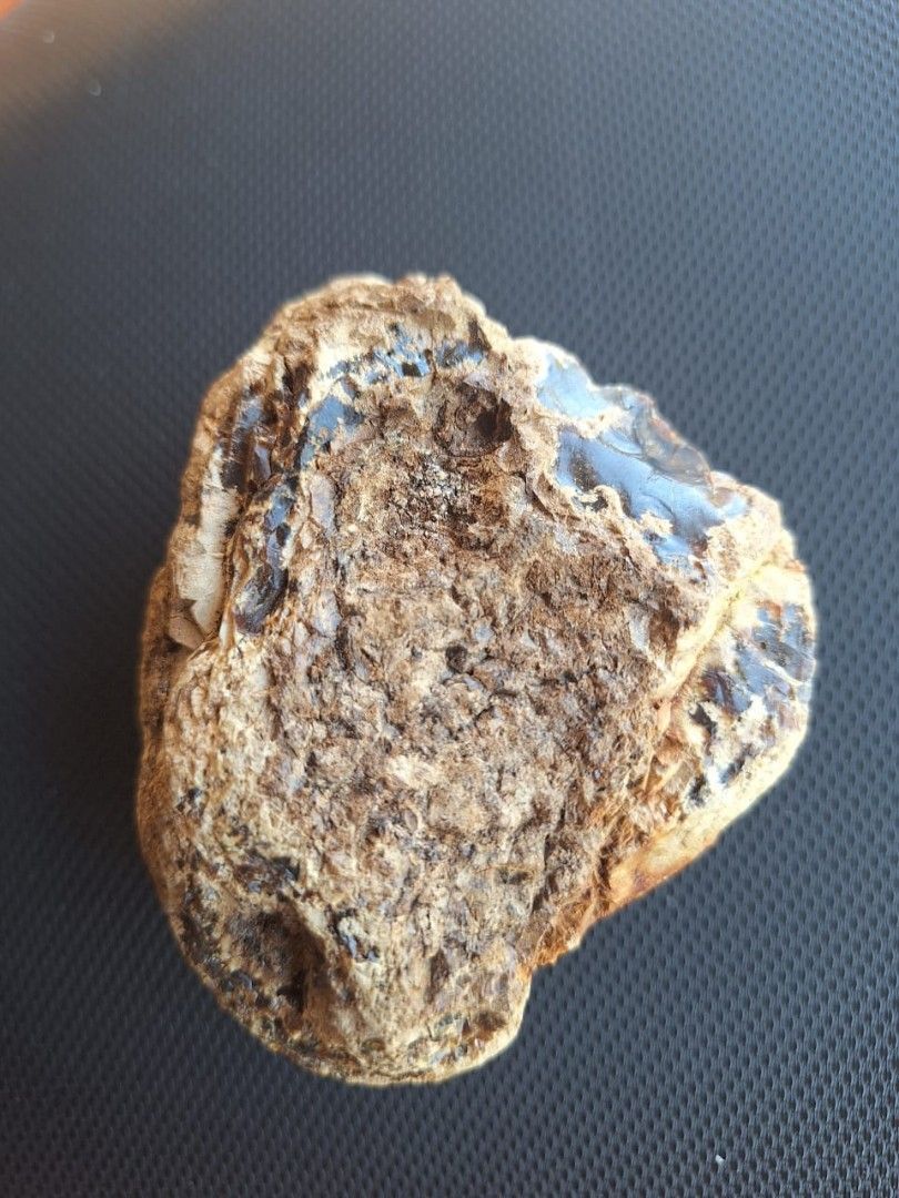 Ambergis / Muntahan ikan paus, Antik, Pajangan di Carousell