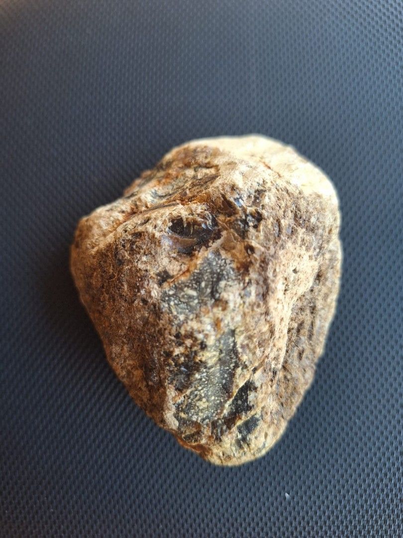 Ambergis / Muntahan ikan paus, Antik, Pajangan di Carousell