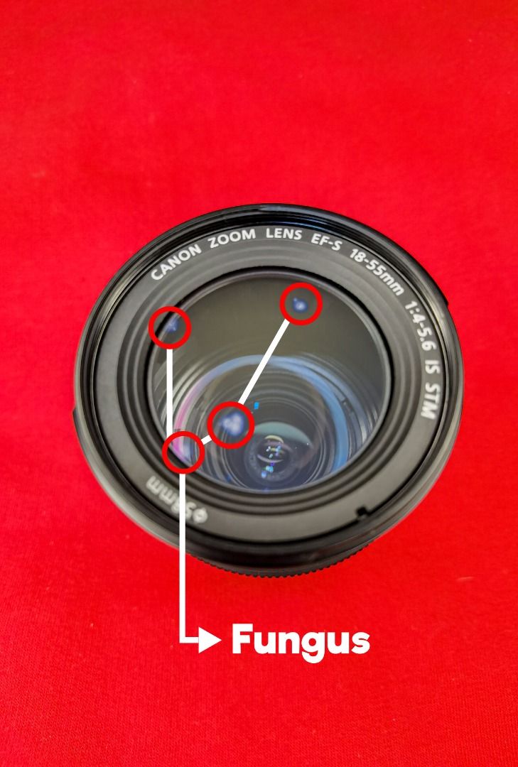 Canon 200D Mark II COMPLETE WITH KIT LENS, Photography, Cameras on ...