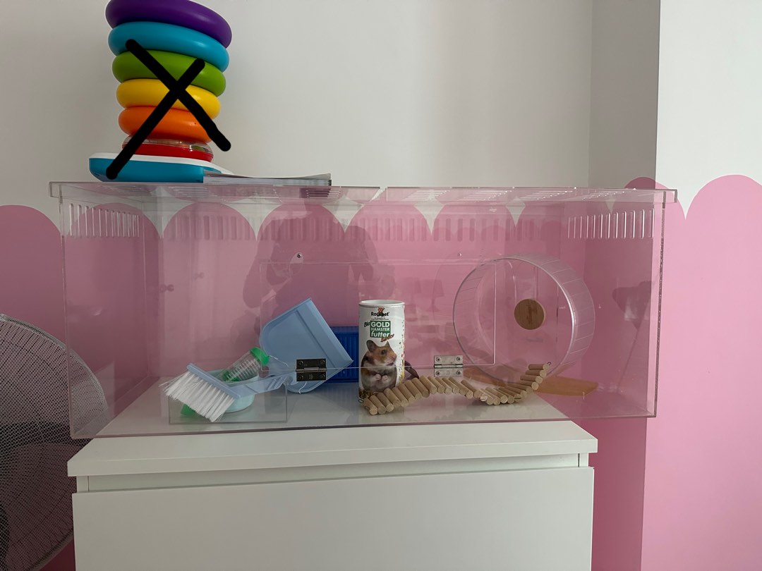 Hamster acrylic cage 100cm with big wheel, Pet Supplies, Homes & Other ...