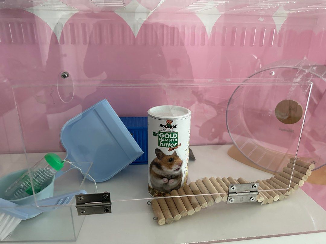 Hamster acrylic cage 100cm with big wheel, Pet Supplies, Homes & Other ...