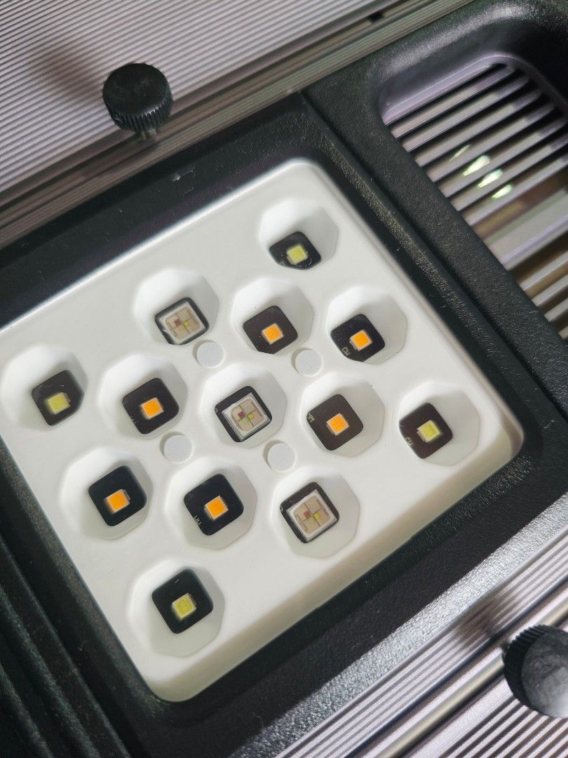 Maxspect Razor F 7,000K 2ft 55w, Car Accessories, Electronics & Lights ...