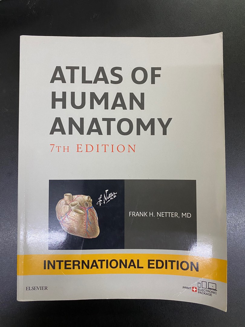 Medical textbooks Atlas of Human Anatomy 7th Edition, Hobbies & Toys ...