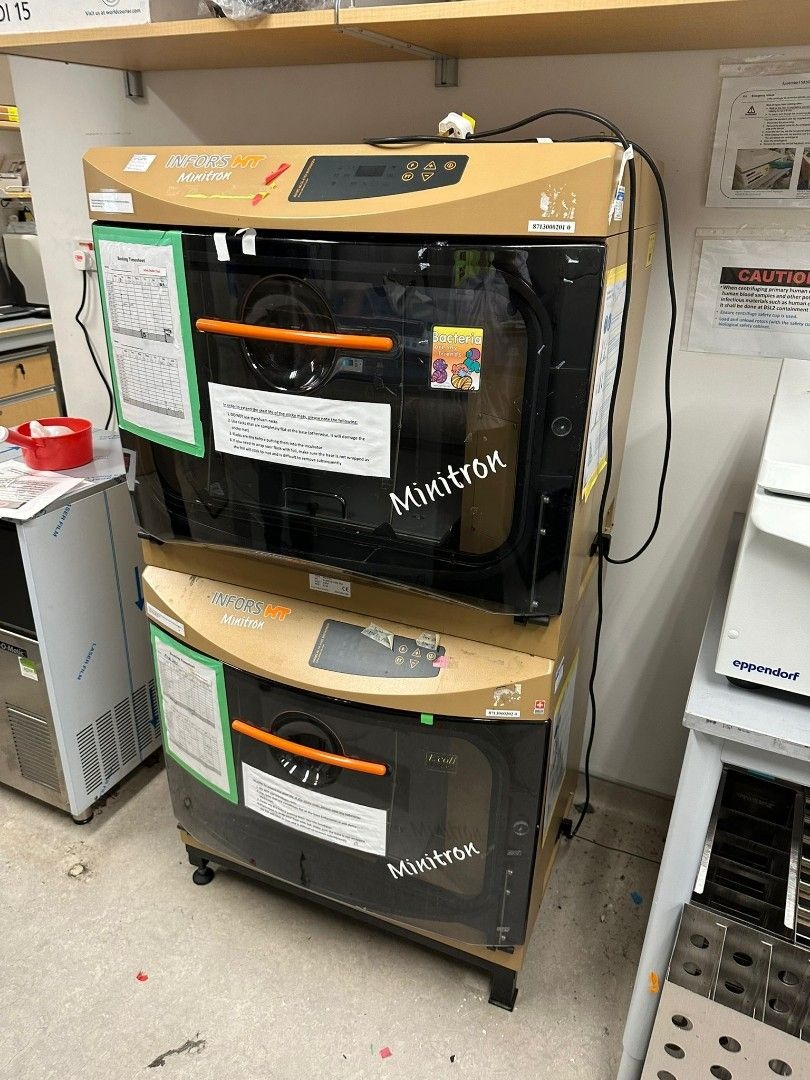 Minitron Infors HT Shaking Incubator for sale @ $650 each, Health ...