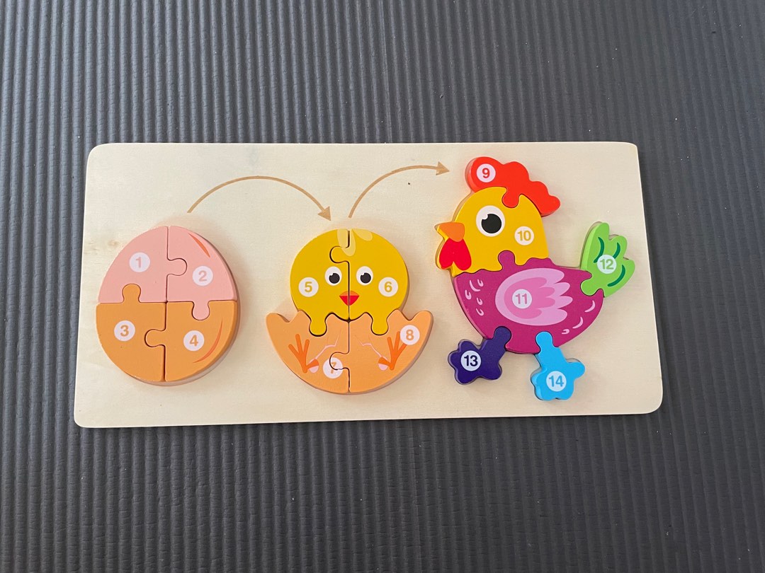 Montessori big wood puzzle evolution of chicken, Babies & Kids, Infant ...