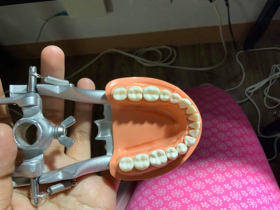 NISSIN TYPODONT JAW ARTICULATOR, Everything Else, Others on Carousell