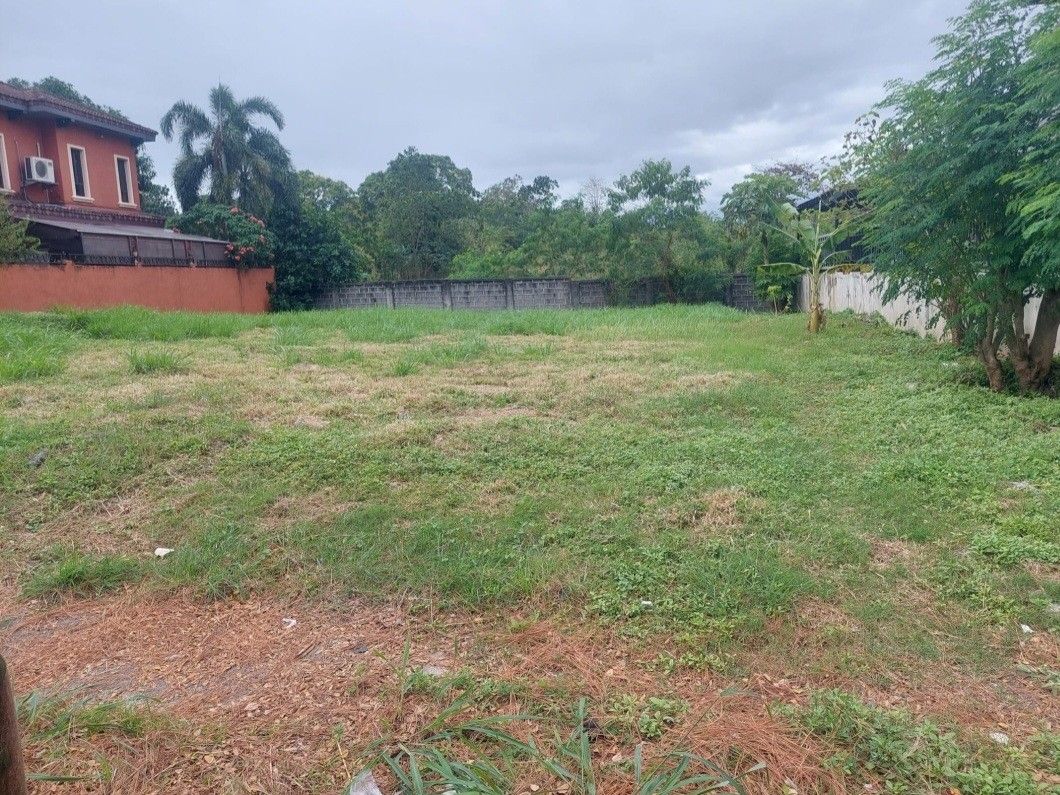 Portofino South Lot Daang Reyna Las Pinas City, Property, For Sale ...