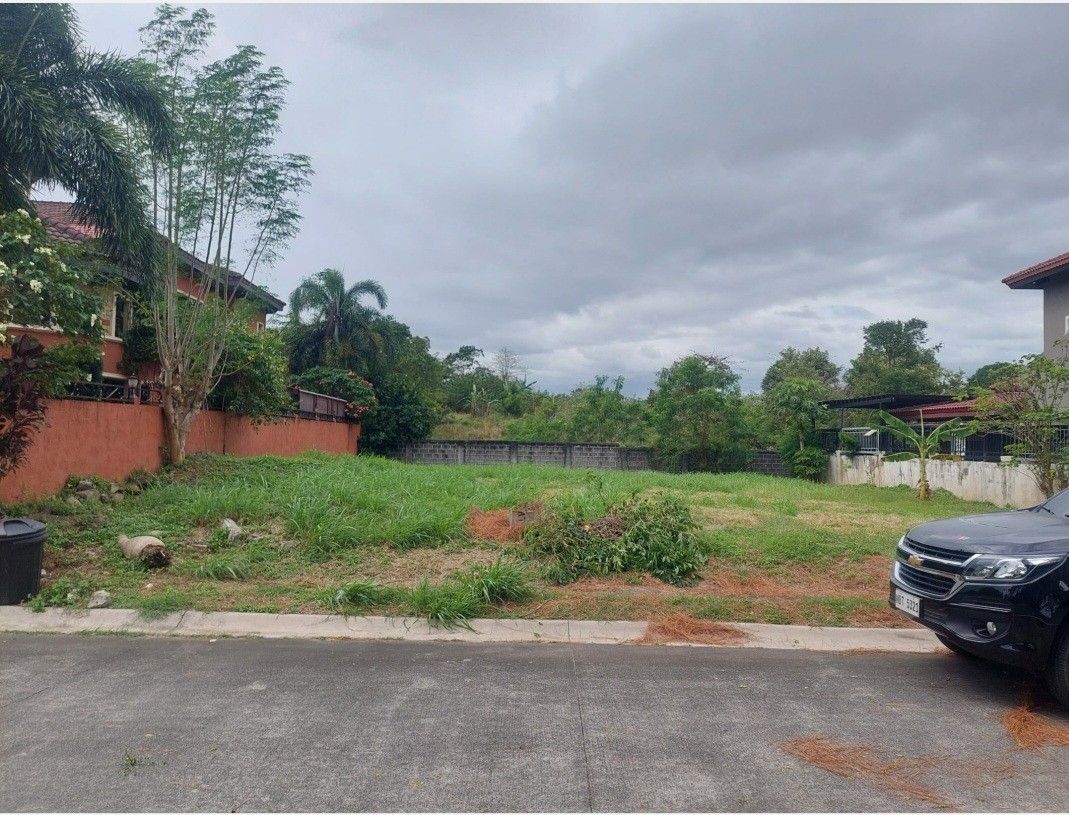 Portofino South Lot Daang Reyna Las Pinas City, Property, For Sale ...