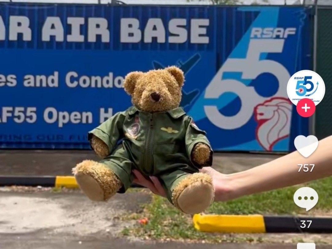 RSAF55 Captain Ted, Hobbies & Toys, Toys & Games on Carousell