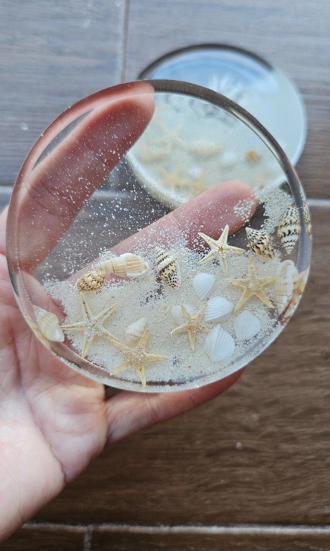Seashell Resin Paper Weight, Hobbies & Toys, Stationery & Craft ...