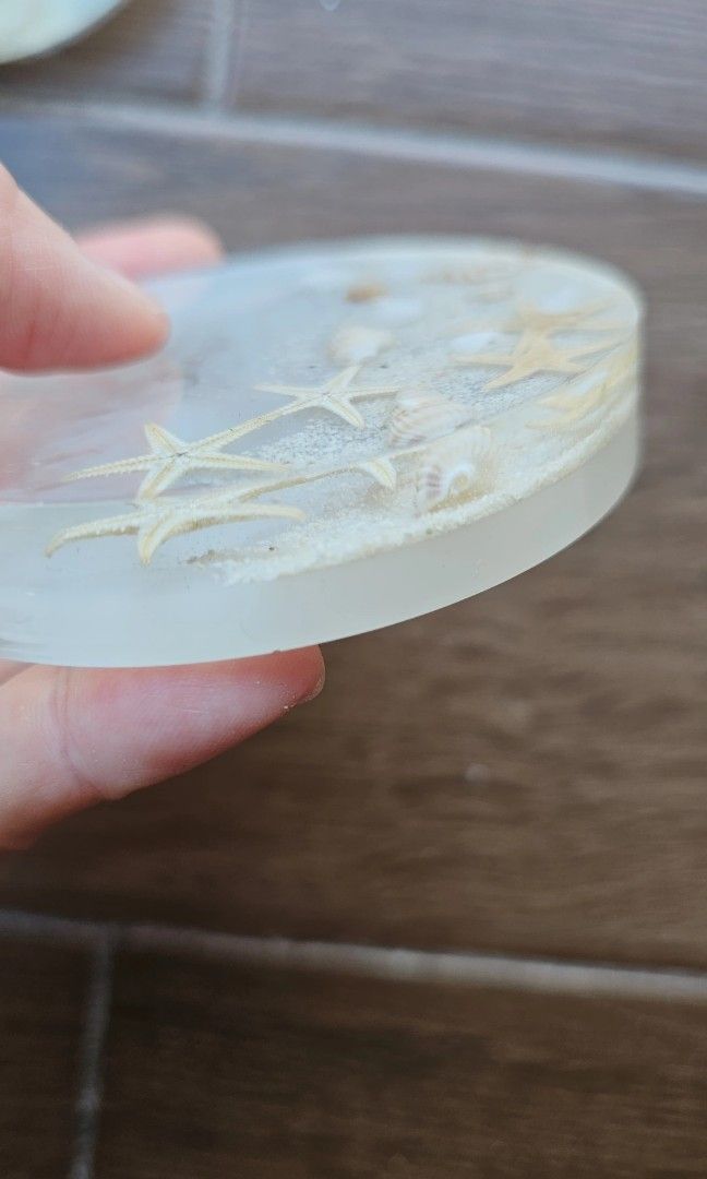 Seashell Resin Paper Weight, Hobbies & Toys, Stationery & Craft ...