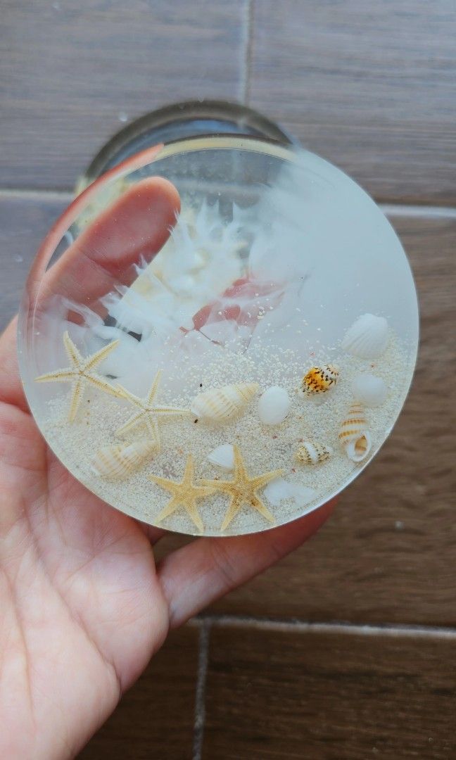 Seashell Resin Paper Weight, Hobbies & Toys, Stationery & Craft ...