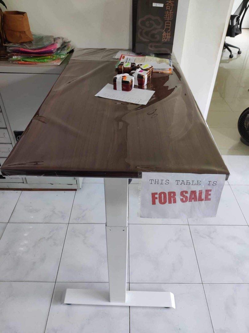 Single Motor Ergonomic Sit/Stand Office Desk 120cm x 60cm, Furniture ...