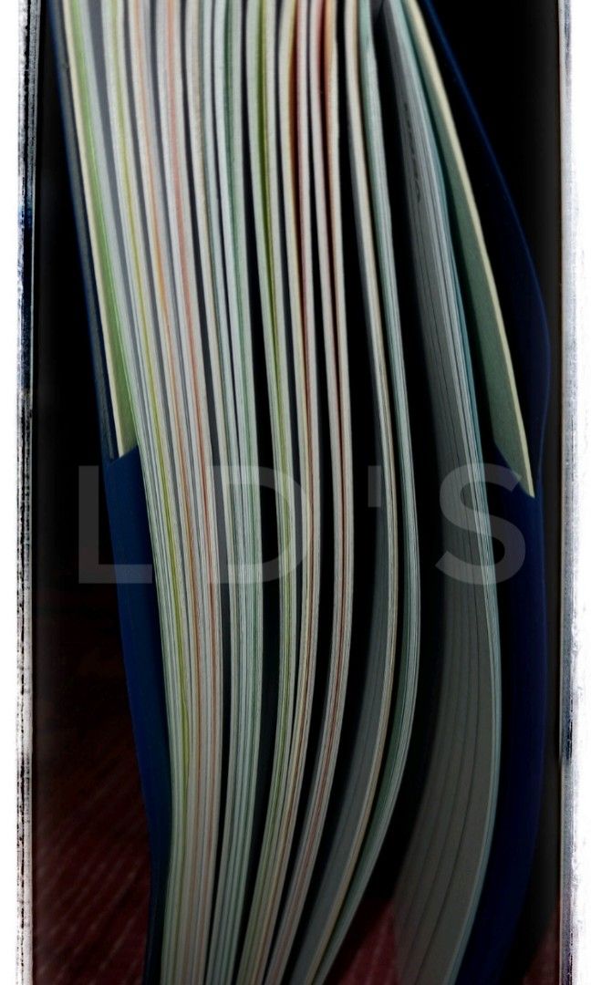 Veco LEATHERETTE STRING BINDER 10DIVISIONS (BLUE OR BLACK), Hobbies ...
