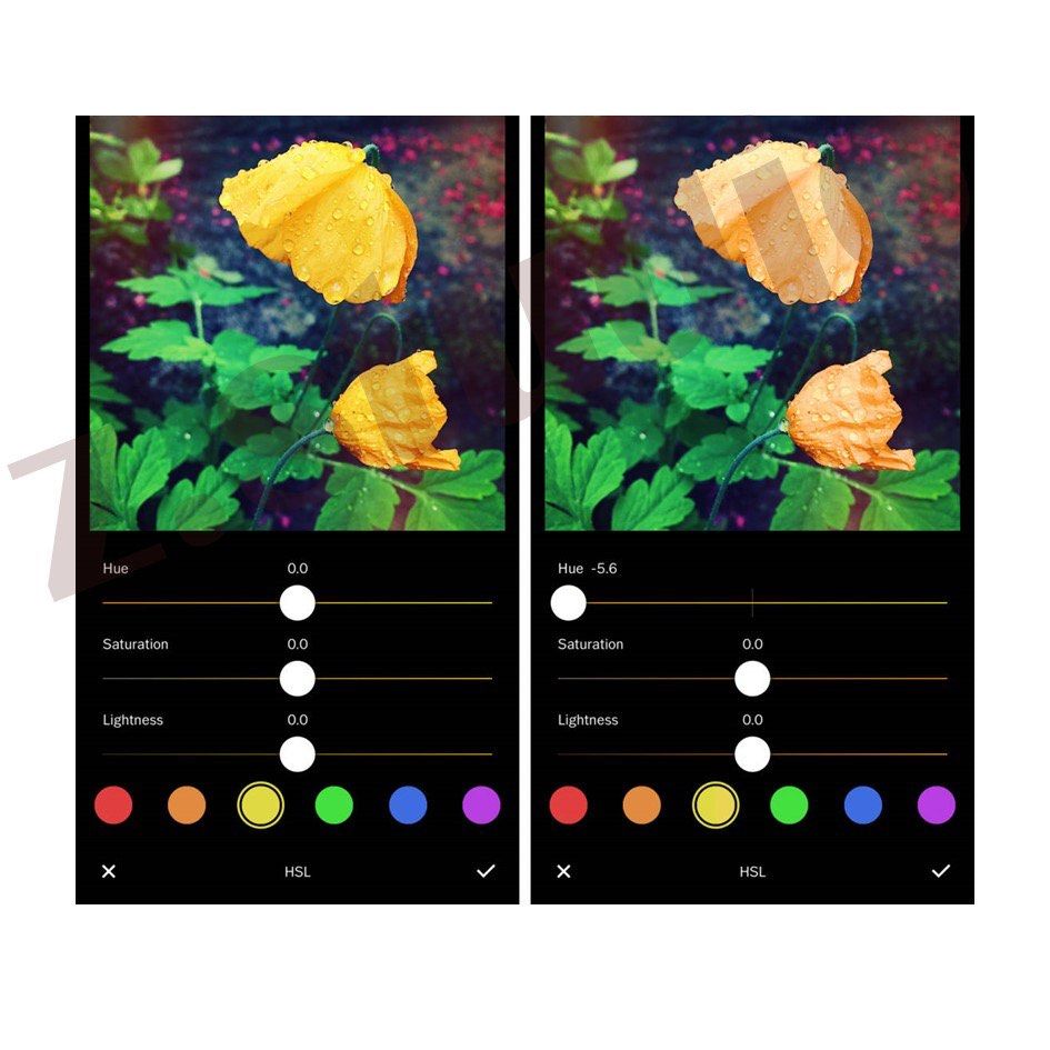 VSCO Premium Membership (Plus) | Lifetime Subscription on Carousell