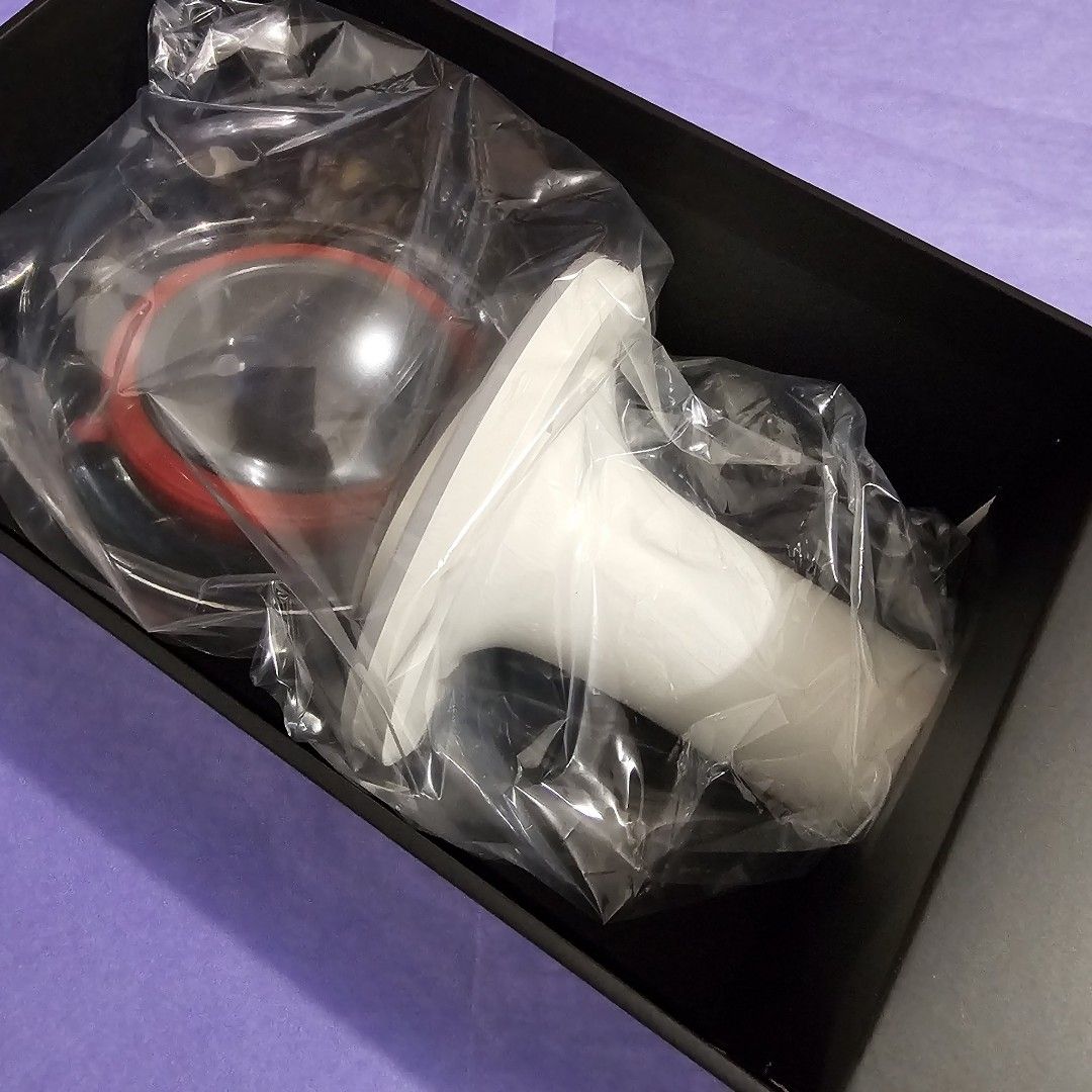 [ON HAND] Stray Kids Official Lightstick/Nachimbong Version 2, Hobbies ...