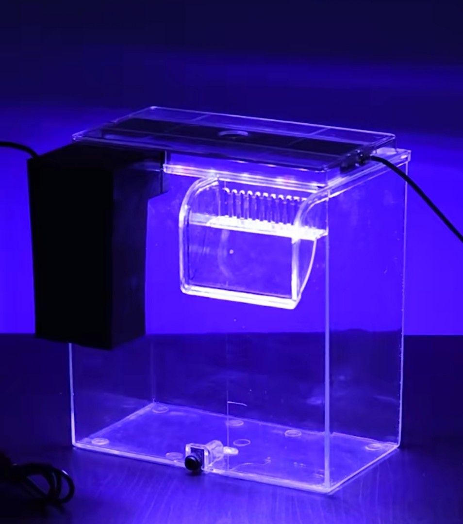 Chaeto Macro Algae breeding cultivation box, Pet Supplies, Homes ...