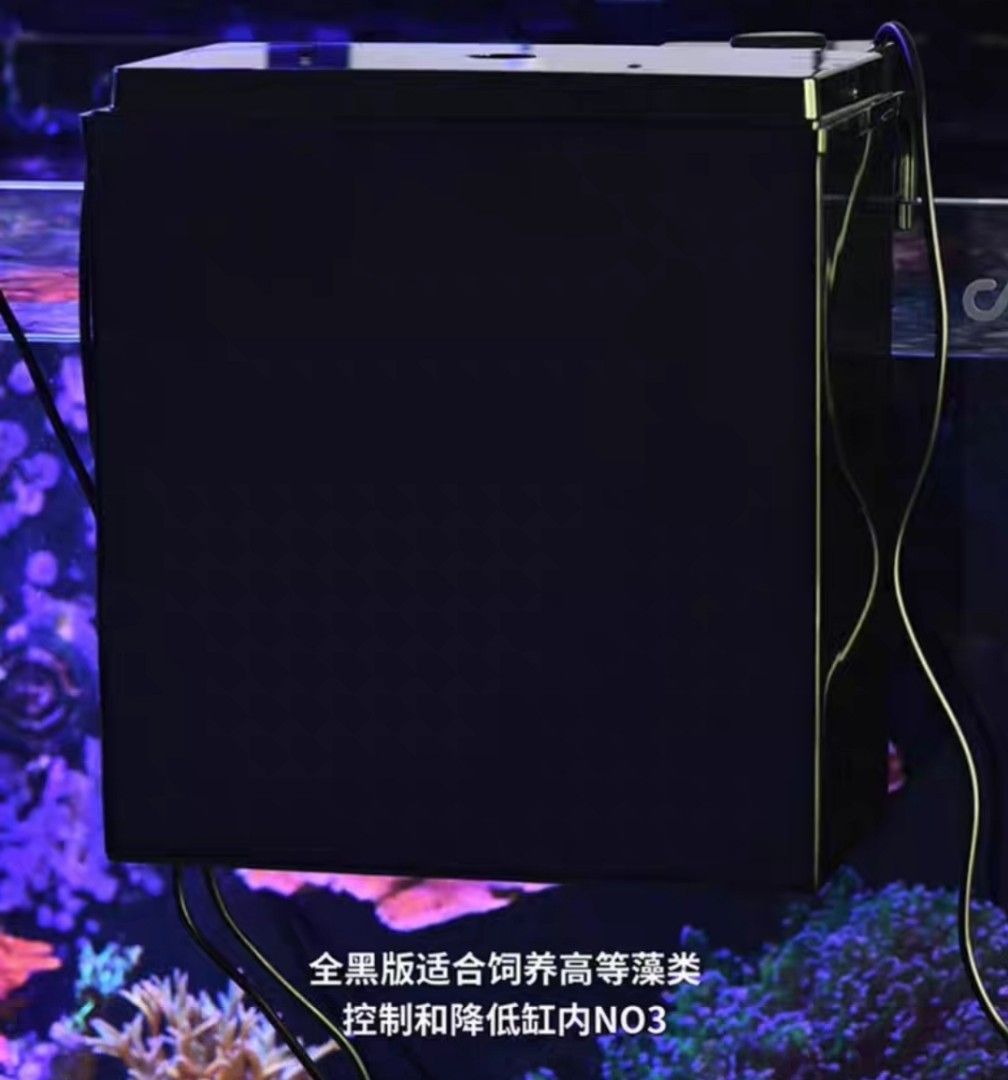 Chaeto Macro Algae breeding cultivation box, Pet Supplies, Homes ...