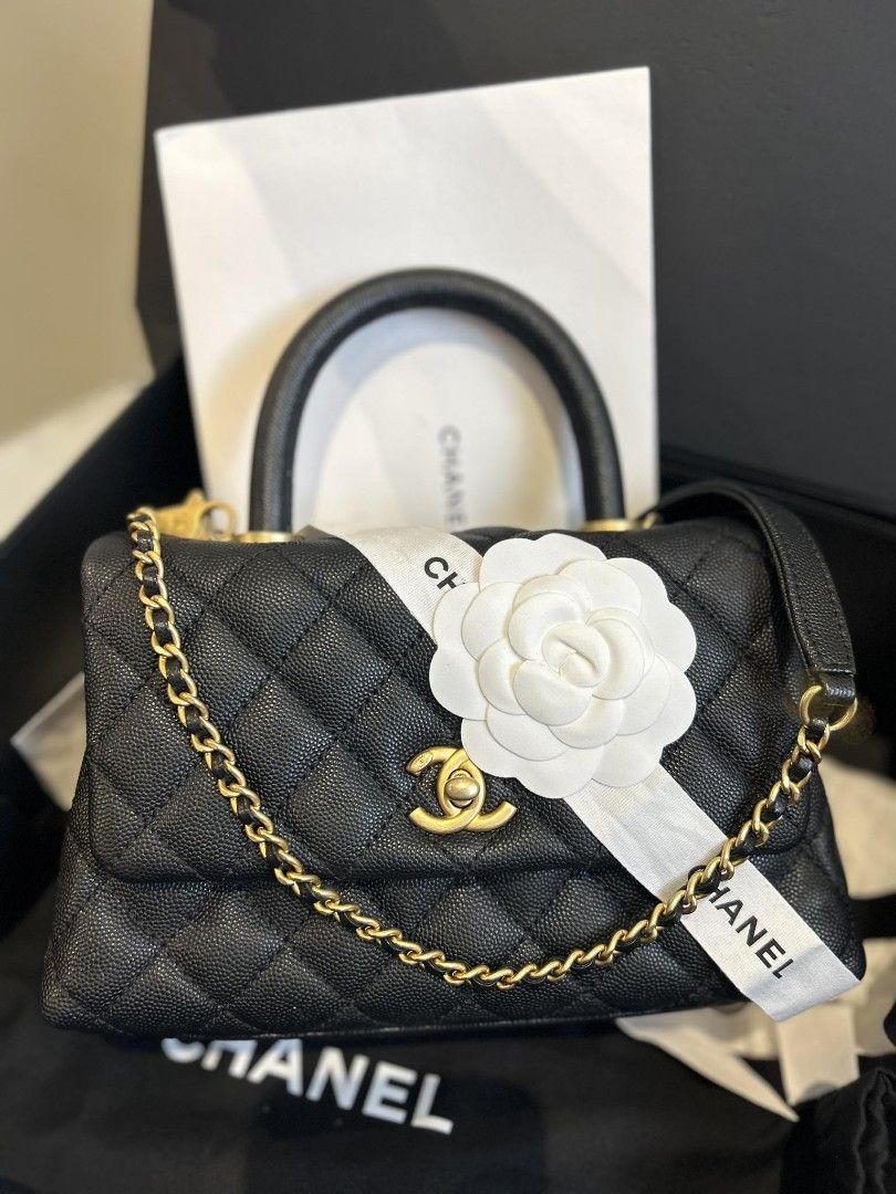 coco small lizard handle, Luxury, Bags & Wallets on Carousell