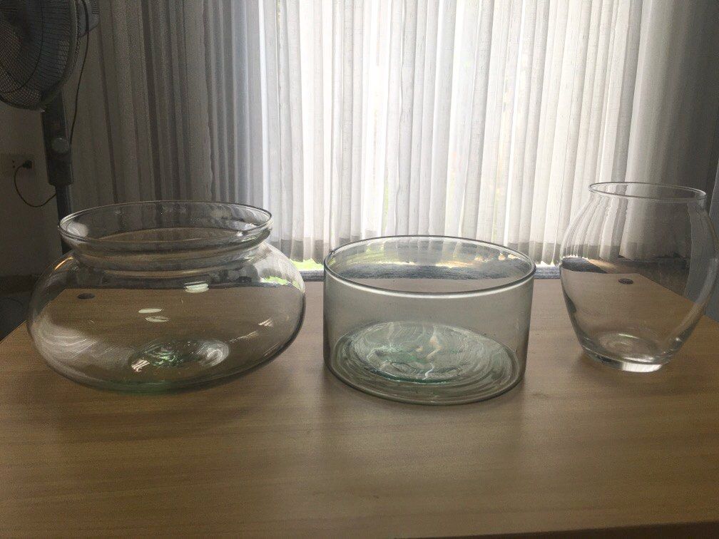 Fish bowls Glass jars, Pet Supplies, Homes & Other Pet Accessories on ...