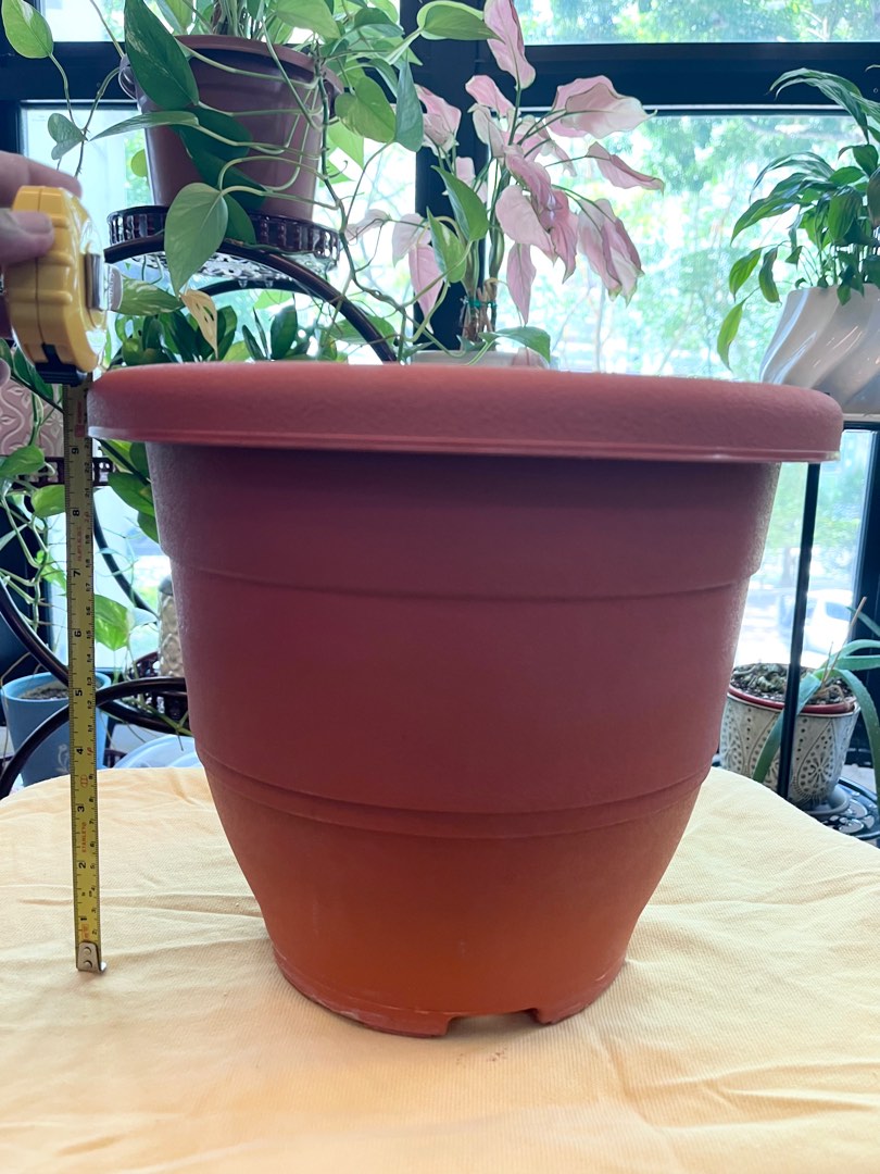 Household surplus - Plant pots, Furniture & Home Living, Gardening ...