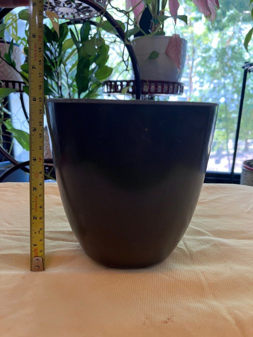 Household surplus - Plant pots, Furniture & Home Living, Gardening ...