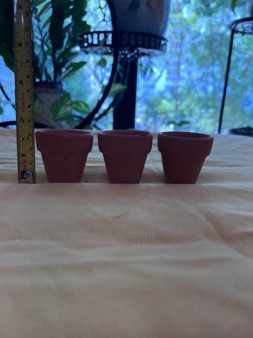 Household surplus - Plant pots, Furniture & Home Living, Gardening ...