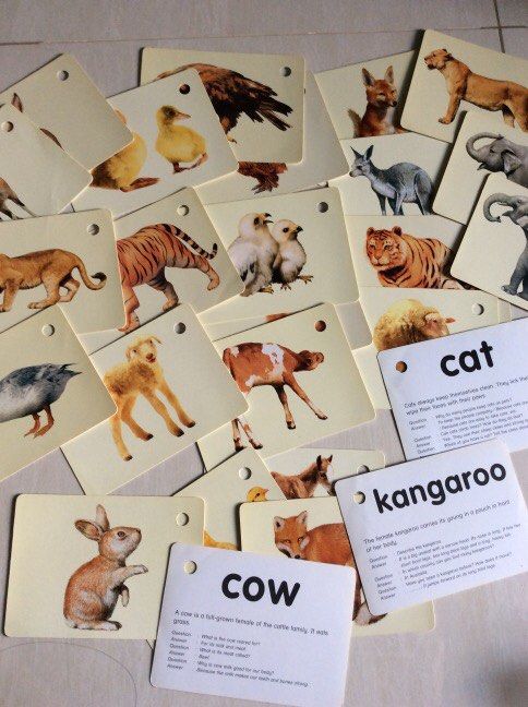 Learn Animals flashcard, Hobbies & Toys, Books & Magazines, Children's ...