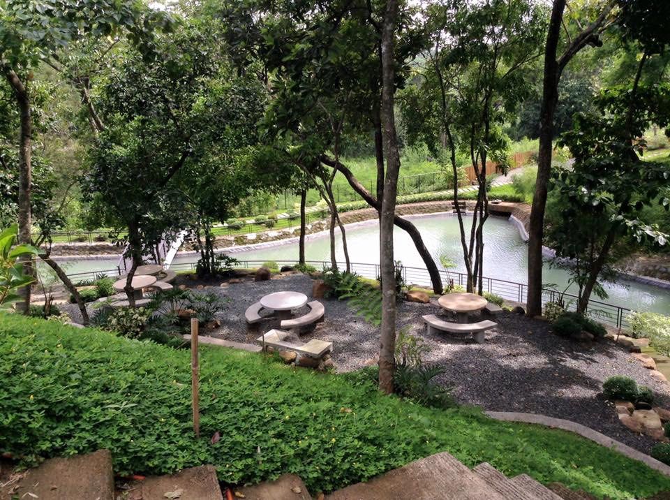 Overlooking Farm lot for sale Forest Farms Havila Angono Rizal ...