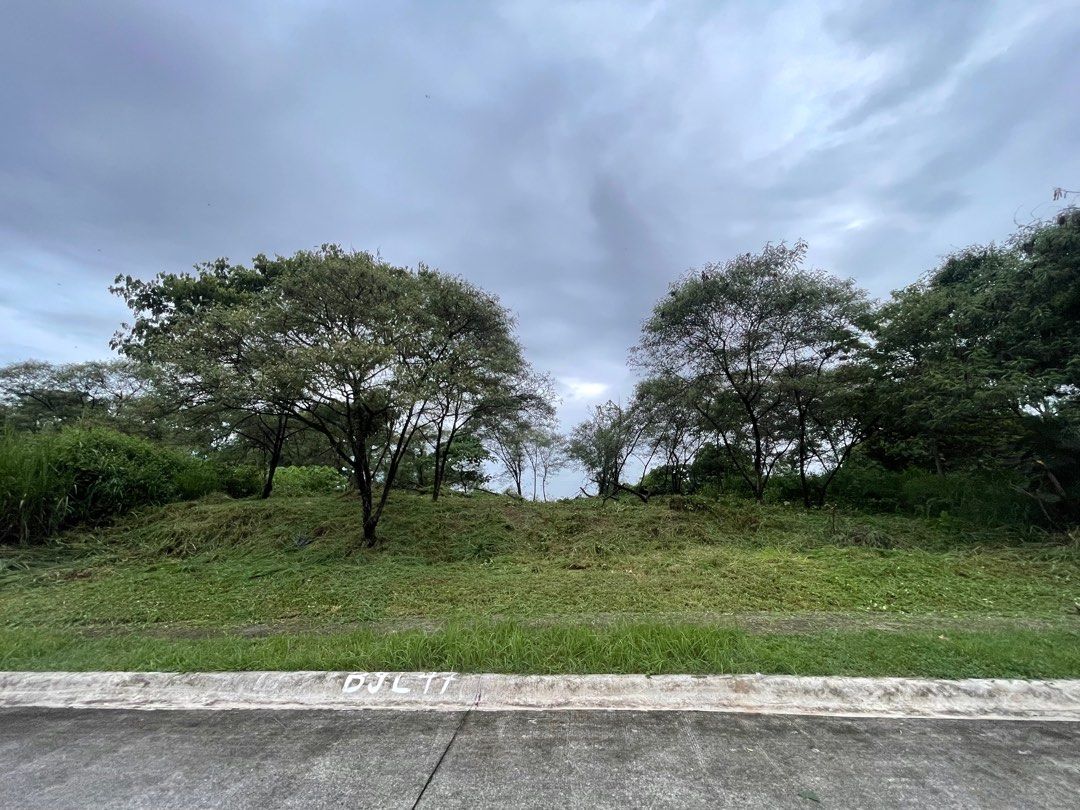 Overlooking Farm lot for sale Forest Farms Havila Angono Rizal ...