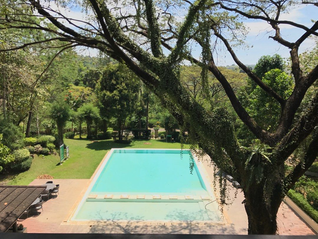 Overlooking Farm lot for sale Forest Farms Havila Angono Rizal ...