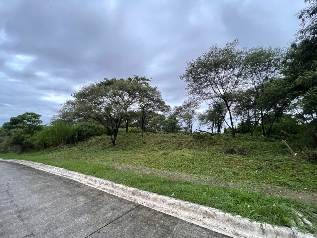 Overlooking Farm lot for sale Forest Farms Havila Angono Rizal ...