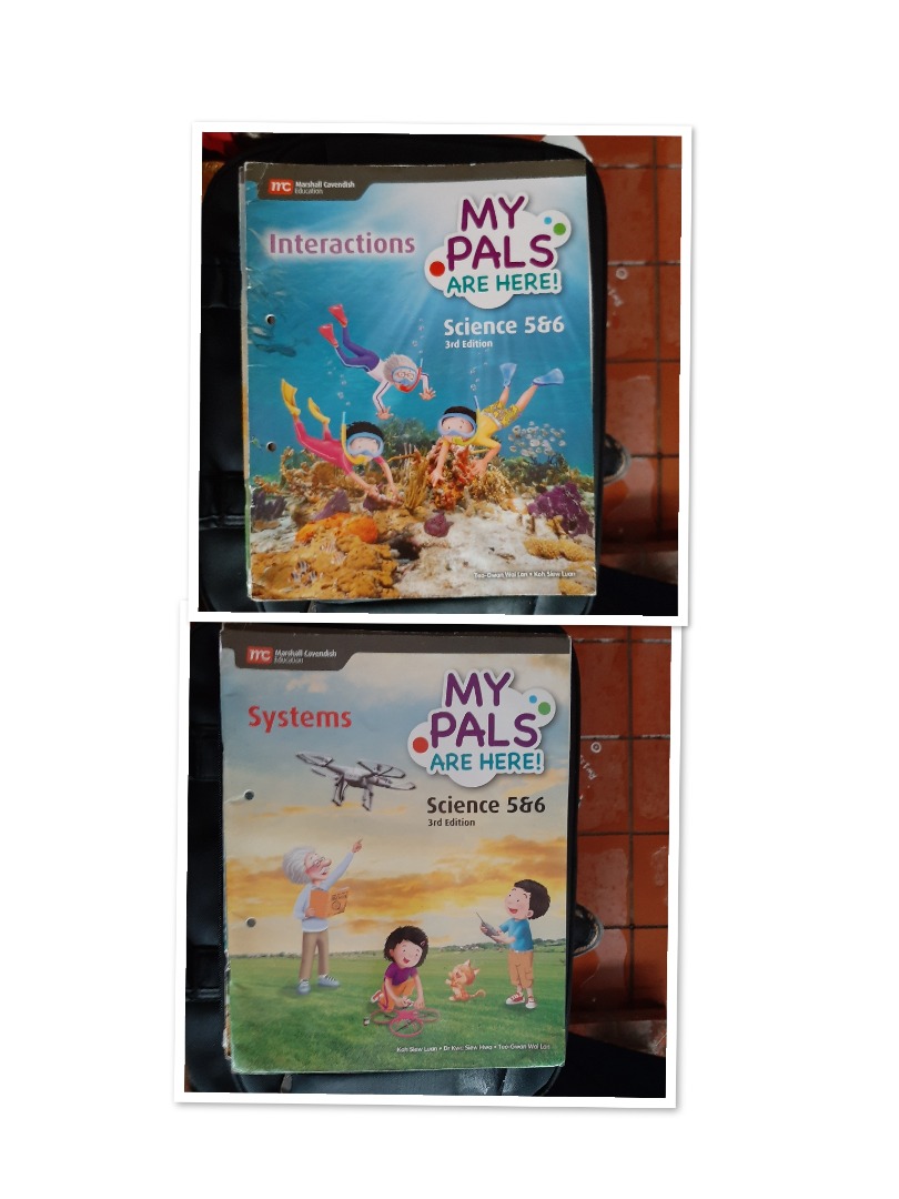 Primary 5 & 6 Interactions / Systems Science Textbook, Hobbies & Toys ...