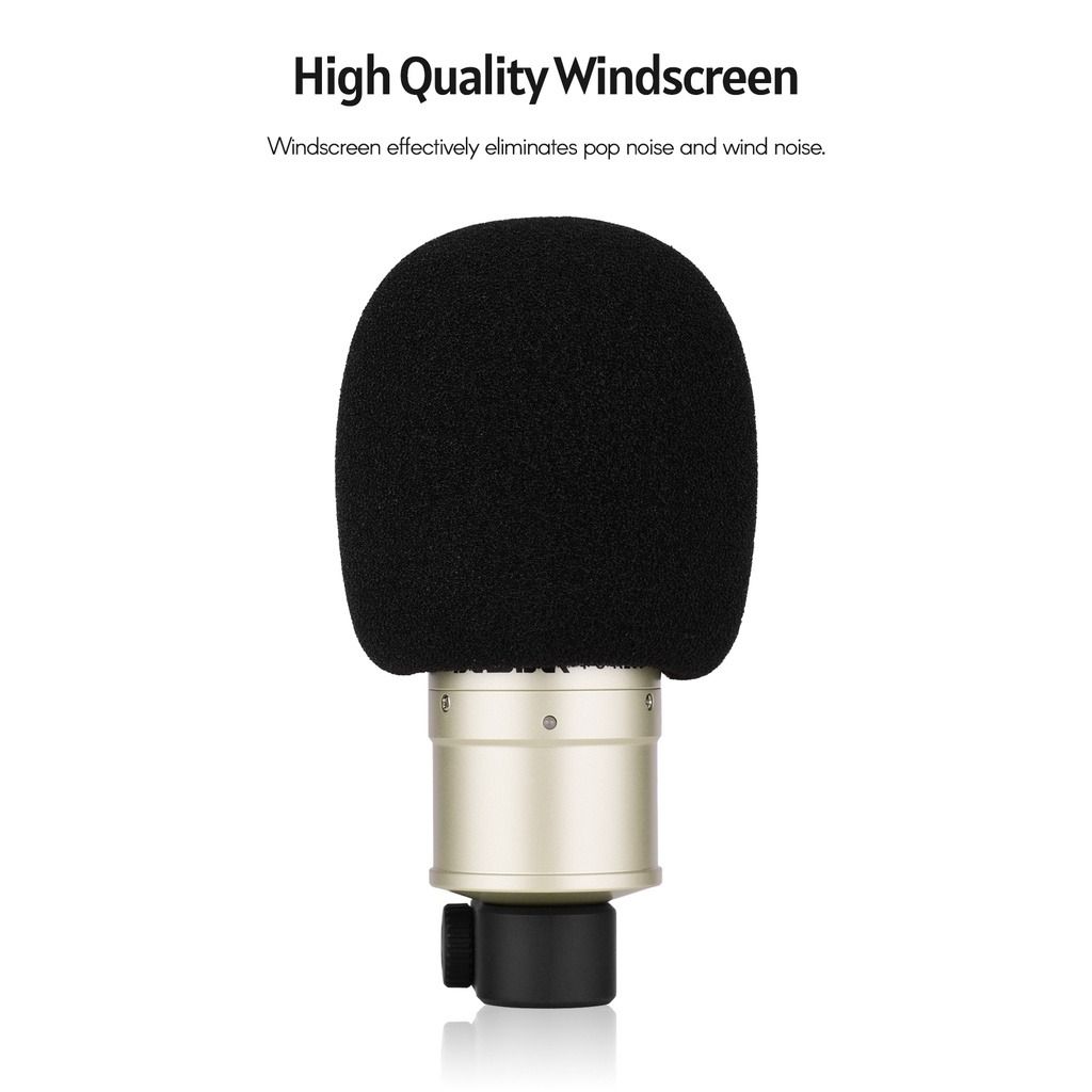 TAKSTAR PC-K200 Cardioid-directional Condenser Recording Microphone ...