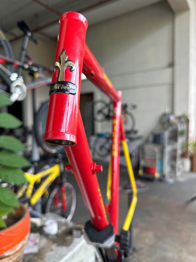 Wilier Triestina Columbus Brain Steel Vintage Road frame, Sports ...