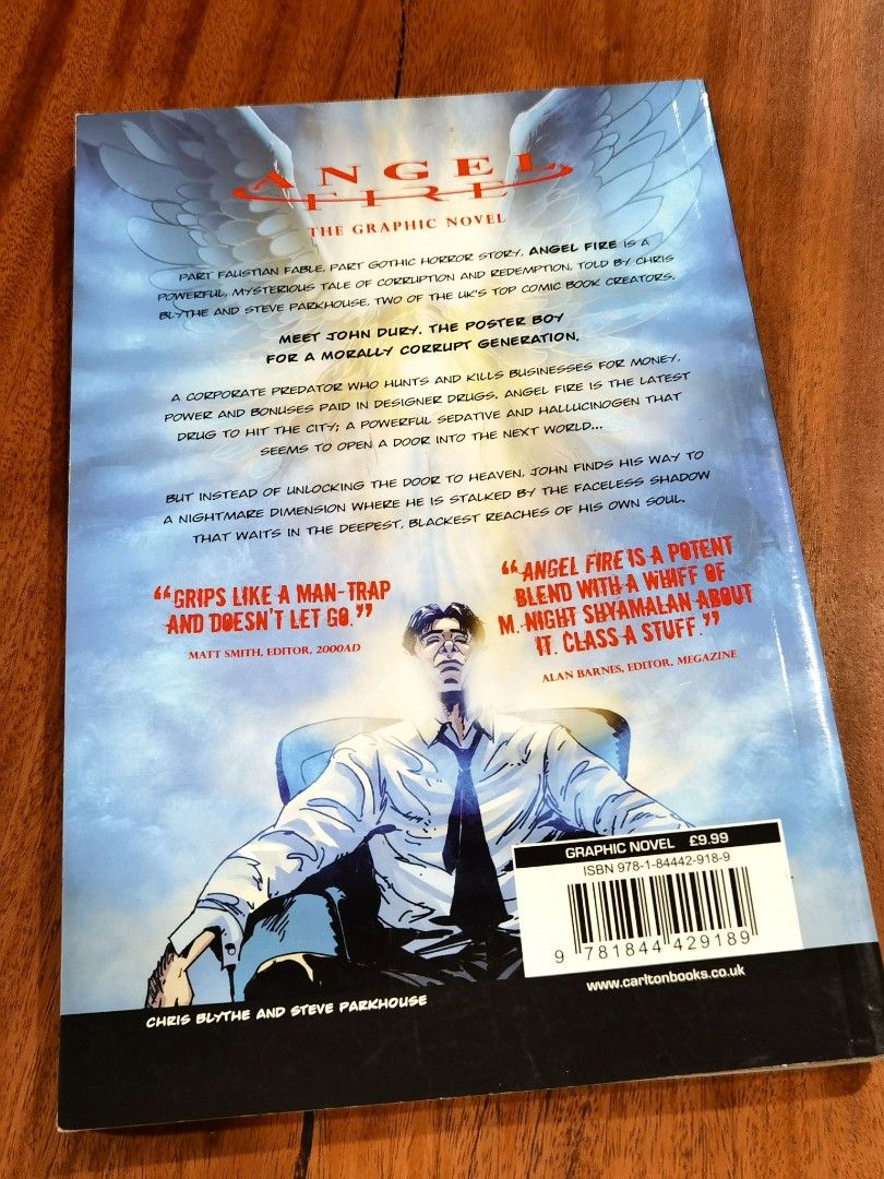 Angel Fire The Graphic Novel Book By Chris Blythe and Steve Parkhouse ...