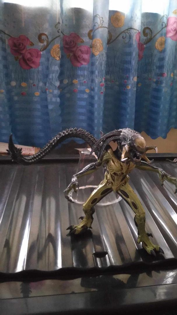 AVP2 Predalien furyu 2008 figure japan version real color, Hobbies ...