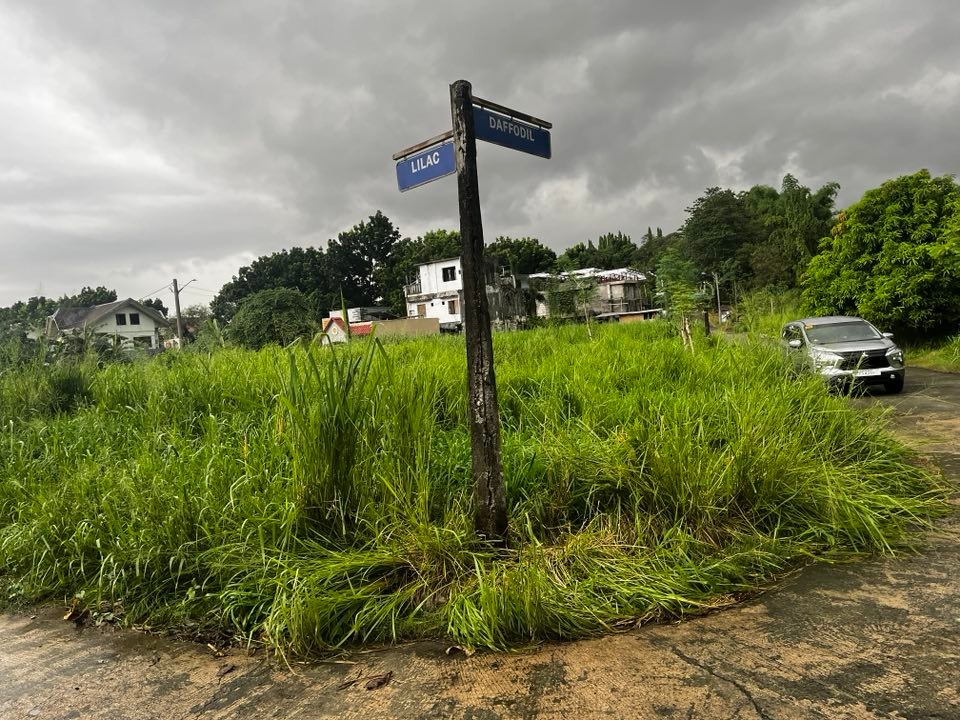 Corner Lot Located at Spring Country Subdivision, Filinvest Land, Inc ...