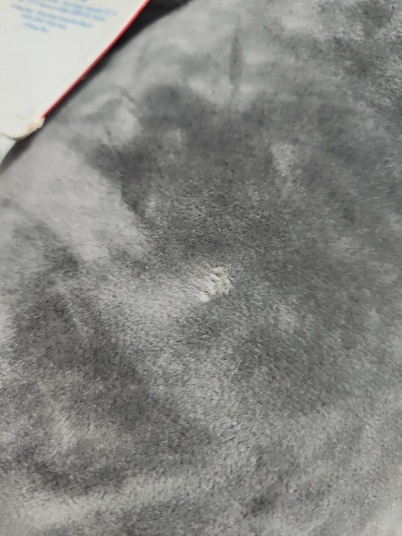 Fluke Finding Dory OFFICIAL Disney store plush, Hobbies & Toys, Toys ...