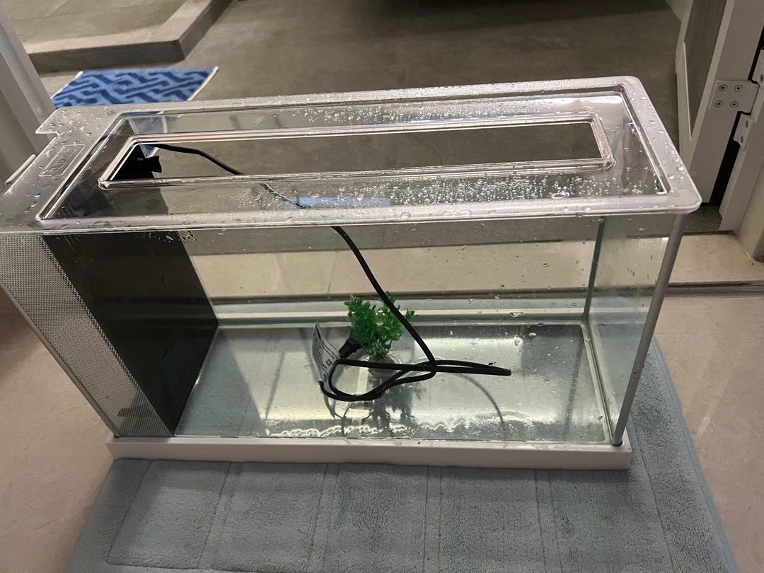 Fluval fish tank, Pet Supplies, Homes & Other Pet Accessories on Carousell