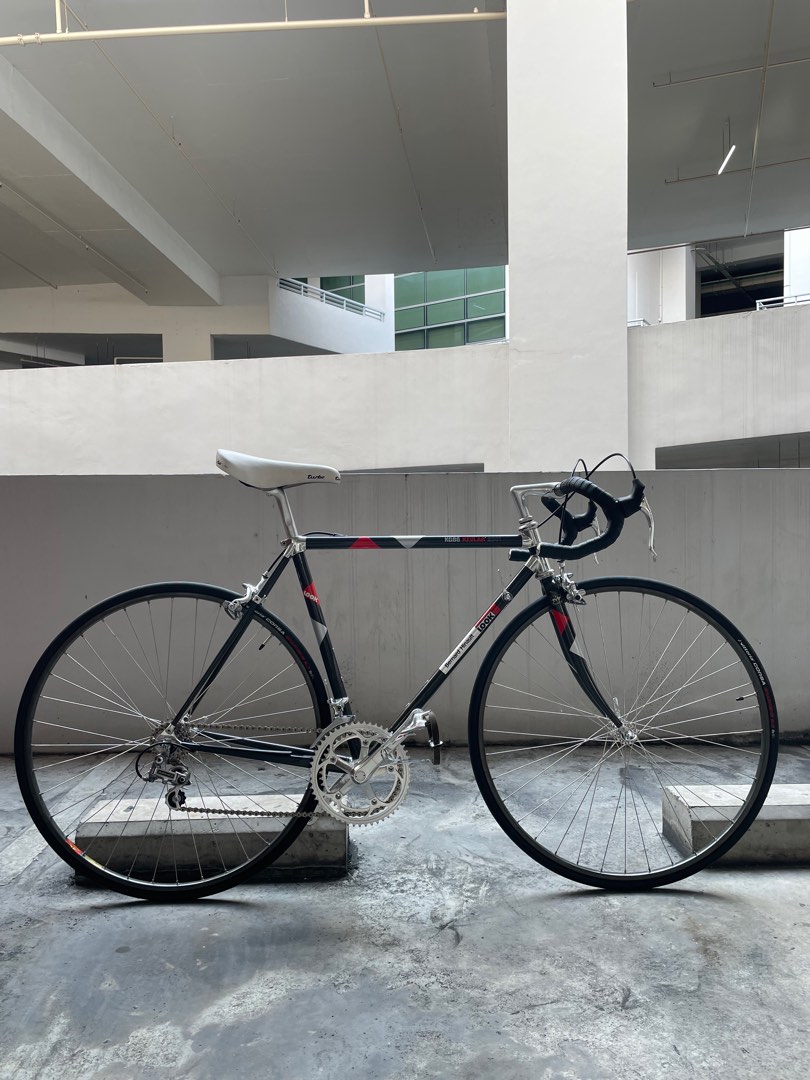 [FS] Vintage Look KG86 Bicycle, Sports Equipment, Bicycles & Parts ...