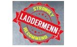 LADDERMENN ALUMINIUM PLATFORM LADDER / HEAVY DUTY LADDER (3 STEPS TO 12 ...