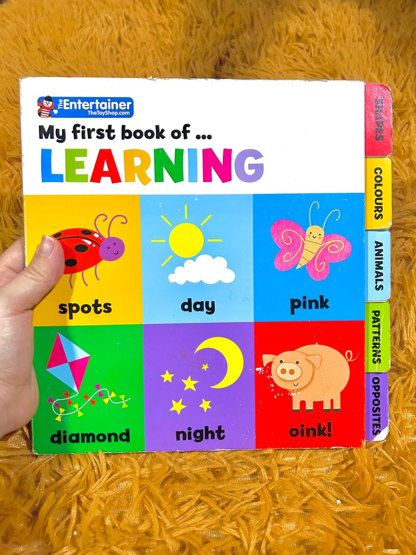 My First Book of Learning Complete Flaps Like New Inside, Hobbies ...