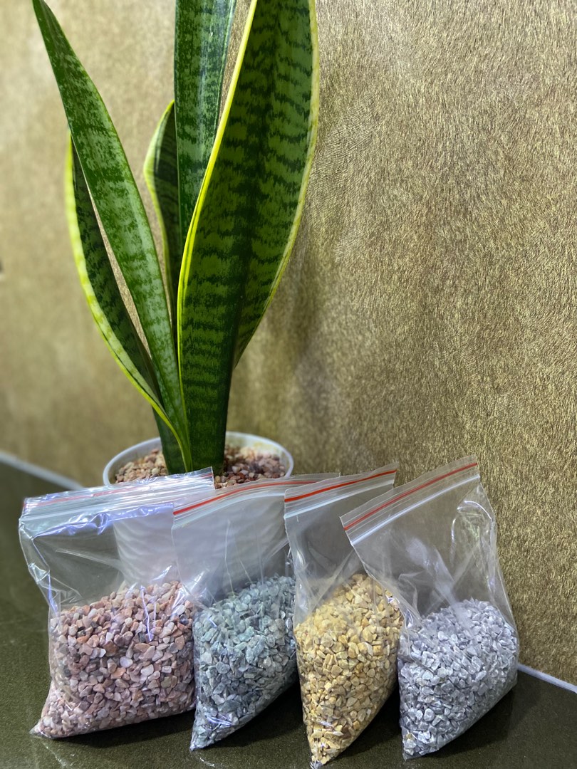 Pebbles Wash Stones 1KG, Furniture & Home Living, Home Decor, Other ...